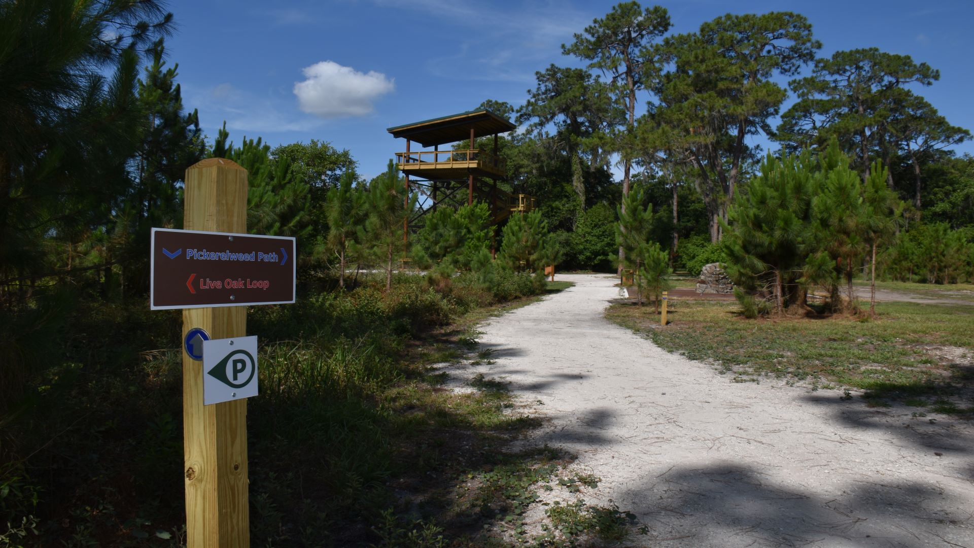 26+ Plant City Building Department - ReivaRhadija